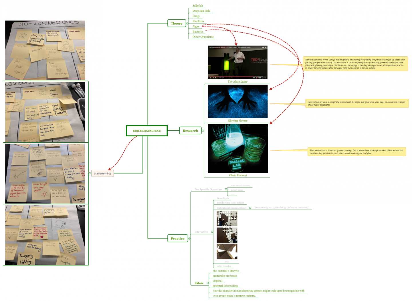 Using in vivo bioluminescence imaging to monitor glucose